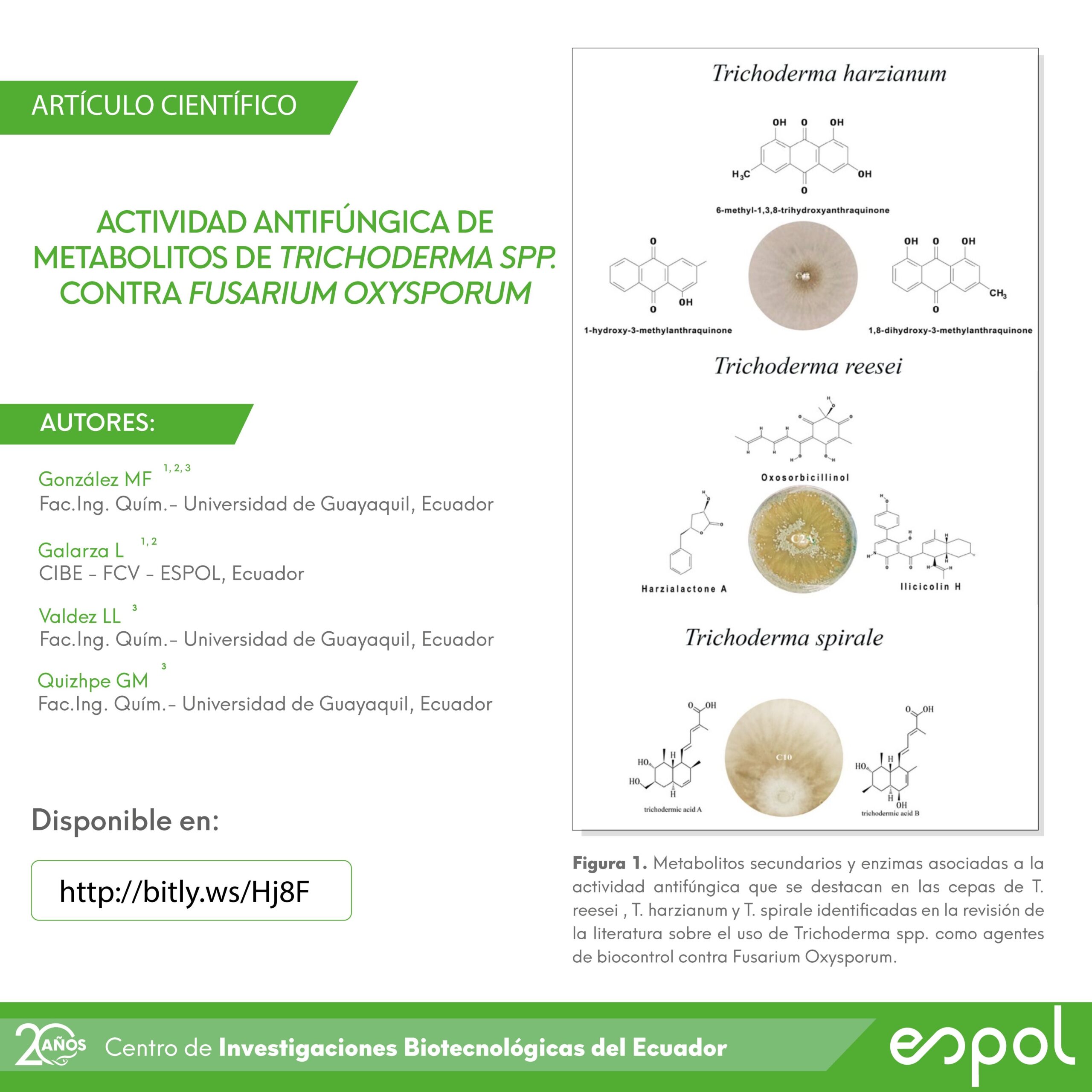 “antifungal Activity Of Metabolites From Trichoderma Spp Against Fusarium Oxysporum“ Métricas